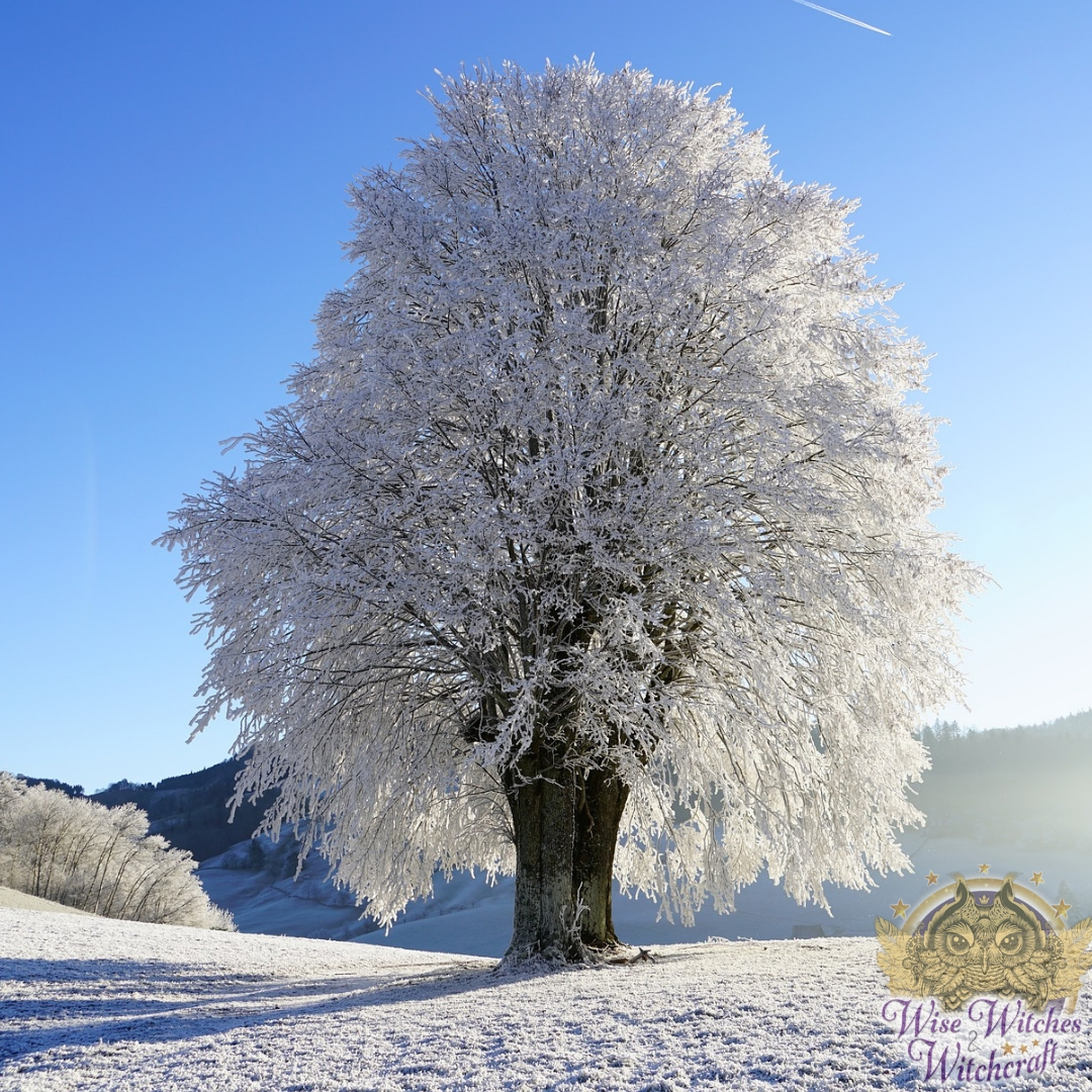 Winter Solstice June 24th at 1pm June 2023 – Thrive by Design